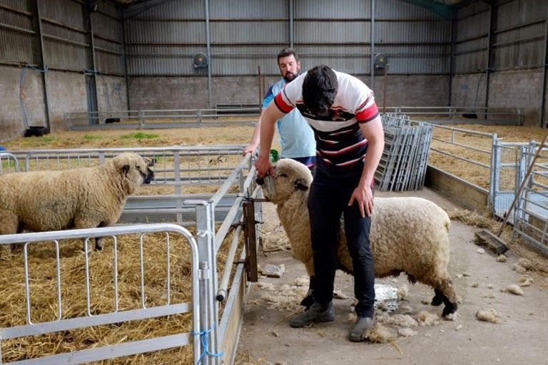 Iestyn Richards, Farm and Estate Student - Balcaskie