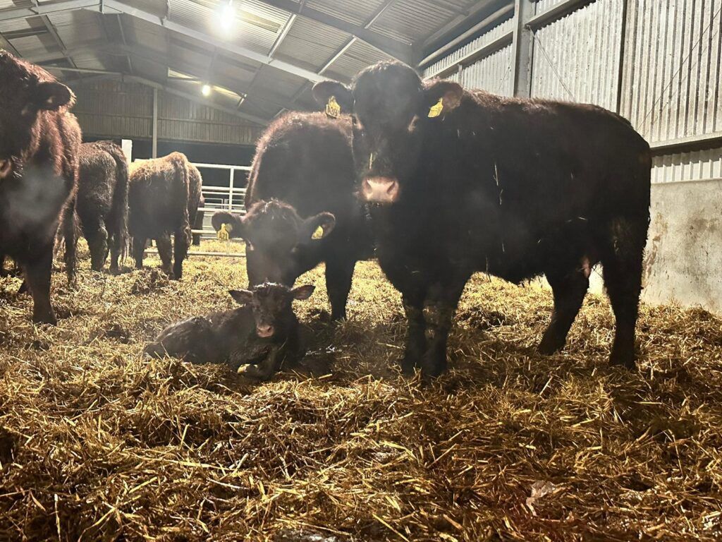 A series of Events - Balcaskie