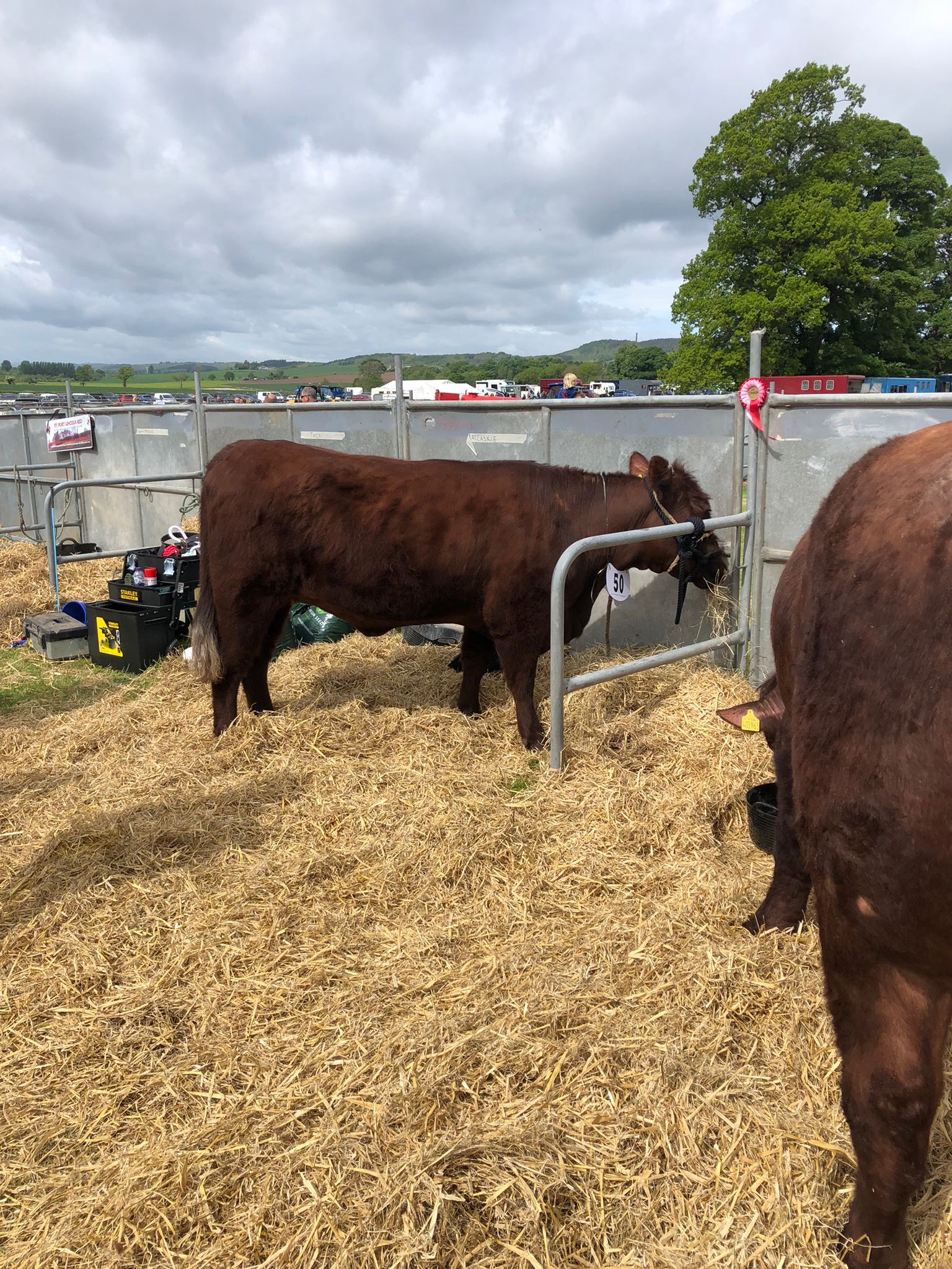 Scott Ramage, General Farm and Estate Worker - Balcaskie