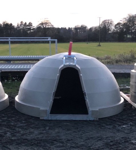 Pigloos! - Balcaskie