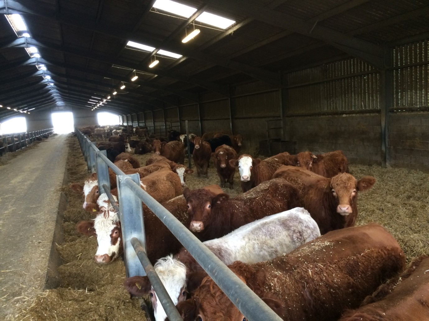 A 2 Week Holiday - Balcaskie