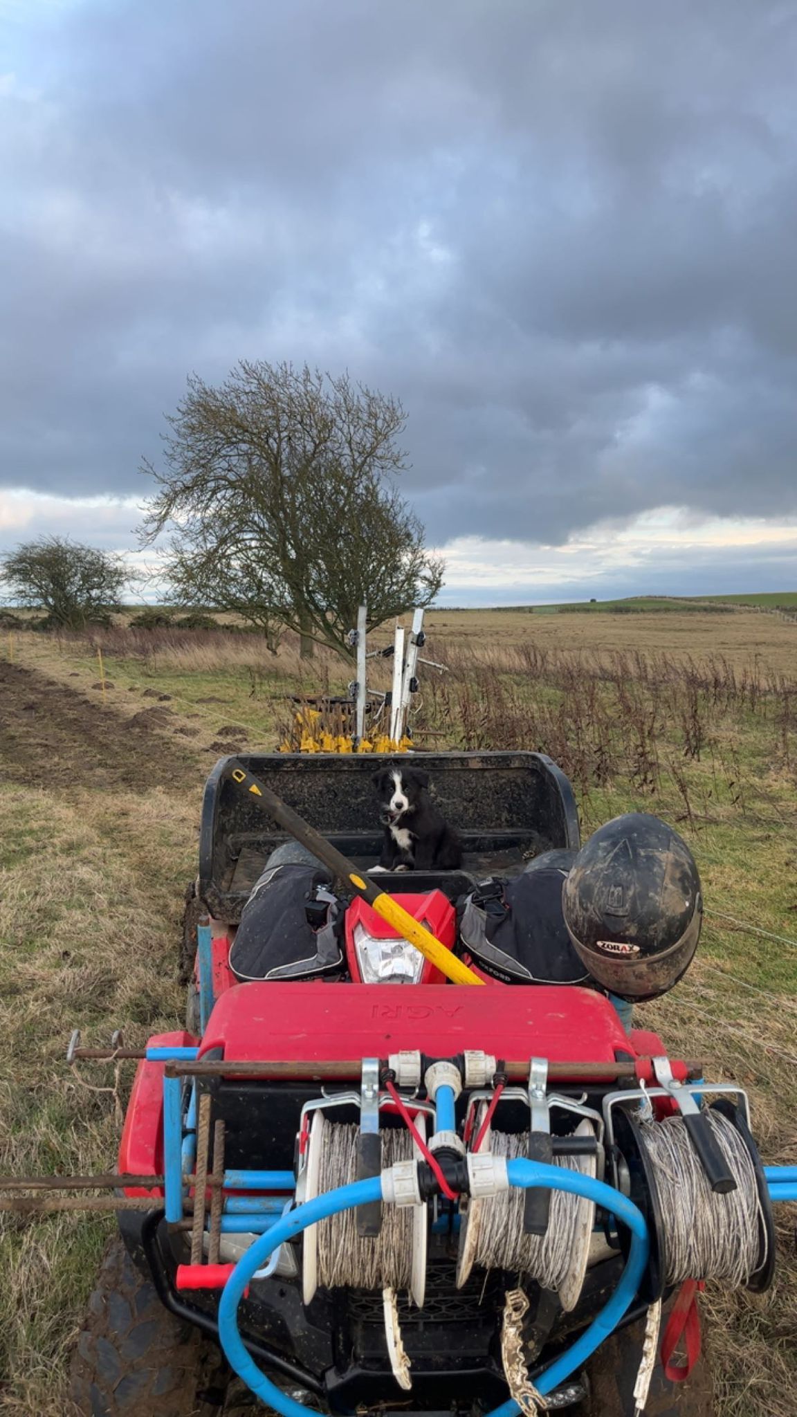 Kieran McIntyre, Farm Student - Balcaskie