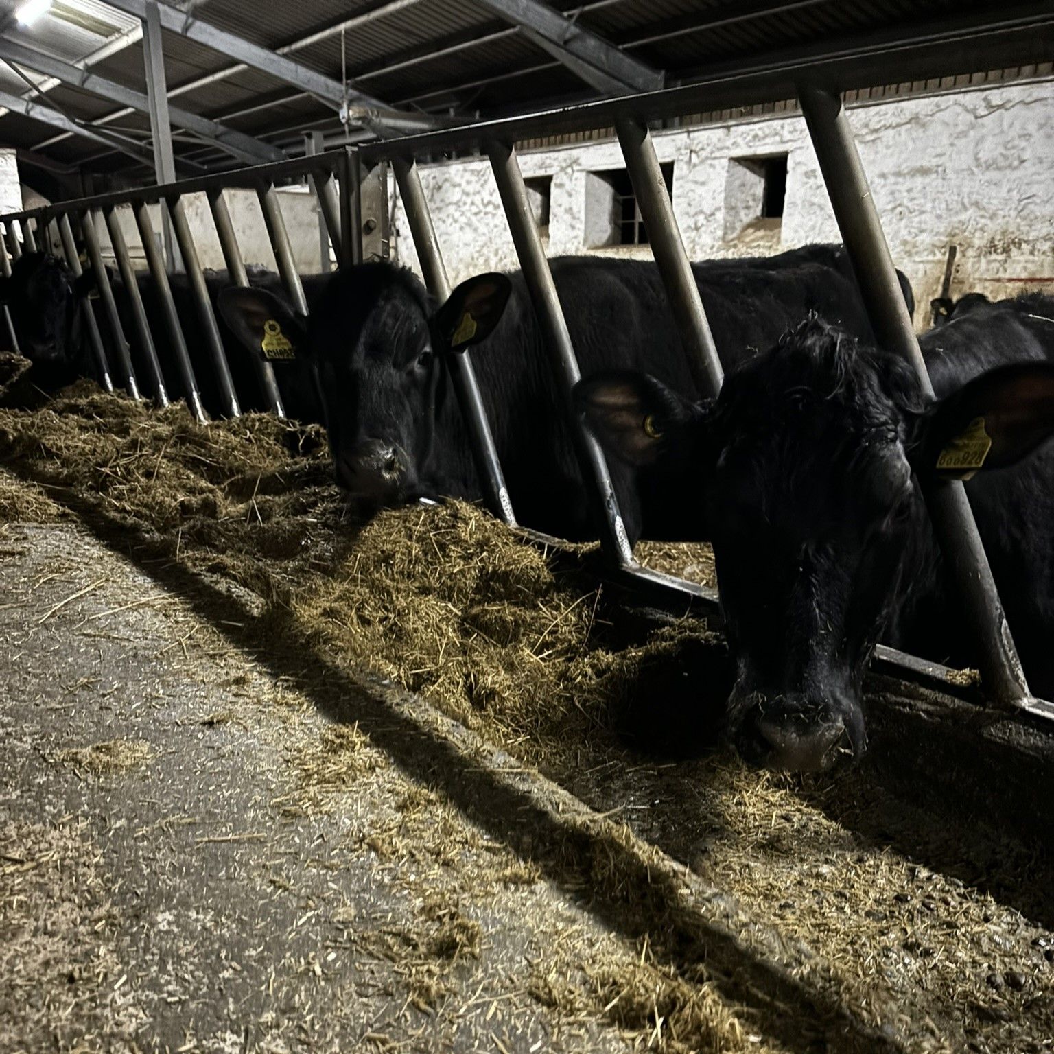 Abercrombie Farm - Balcaskie