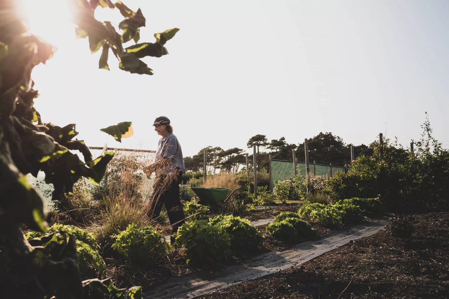 Keeping the Plot - Balcaskie